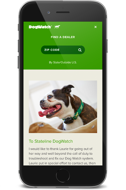 What Is A Dog Watch System